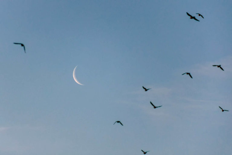 Mond fotografieren - Anleitung, Einstellungen + 5 Mondfotografie Tipps