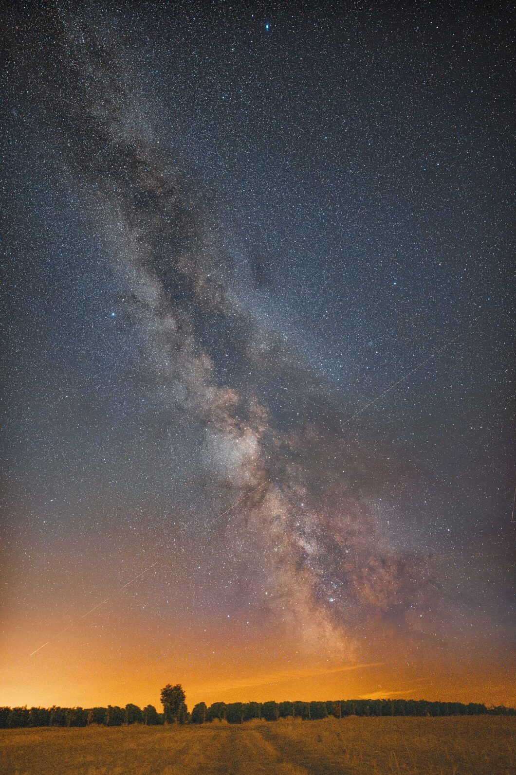 Fotograf Rheinhessen - Stephan Forstmann