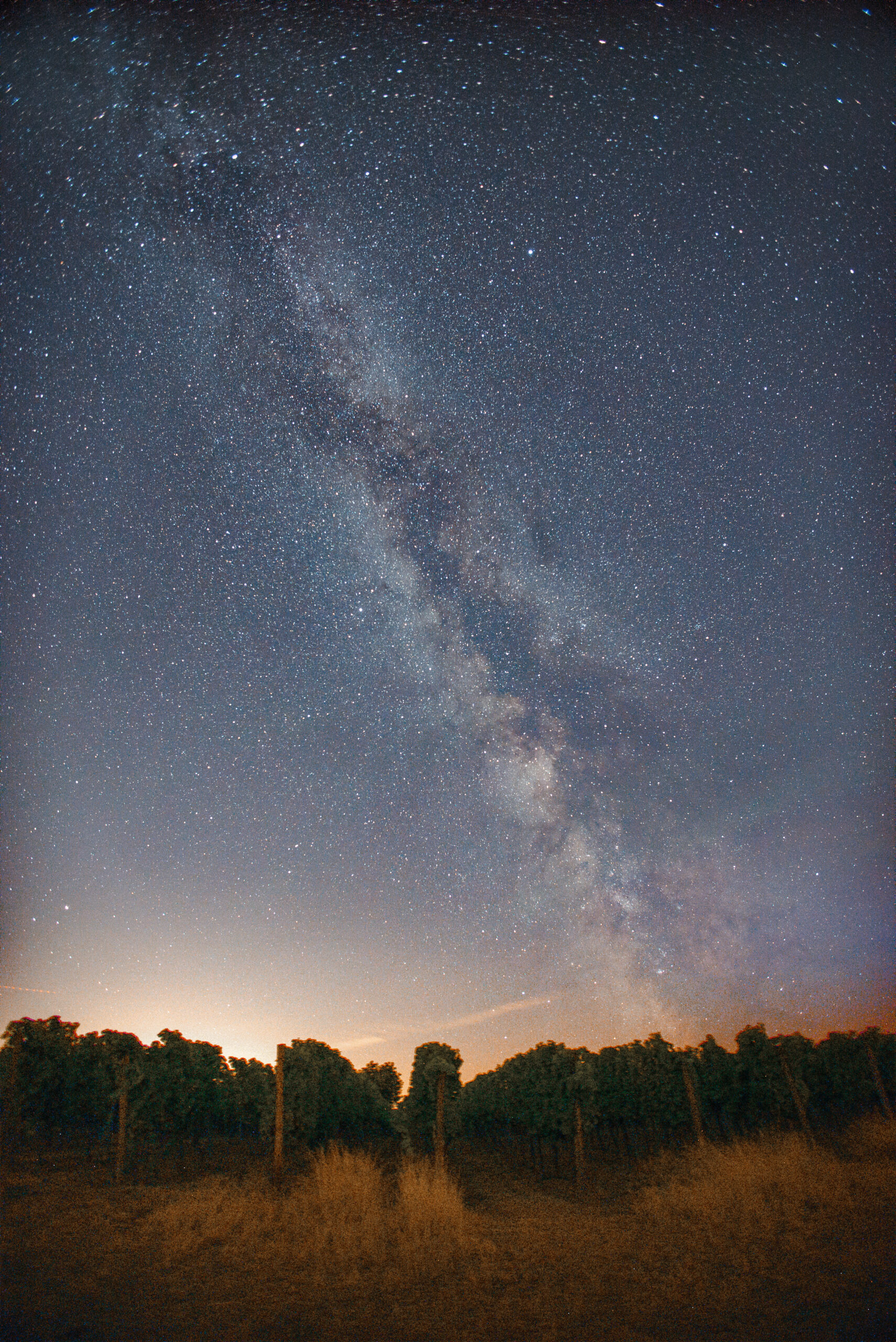 Canon RF 16mm 2.8 STM Test - Erfahrungen und Testbericht: Review des ...