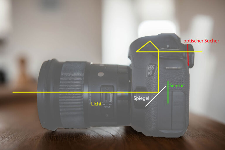 Spiegelreflex- oder Systemkamera? DSLM vs. DSLR: Unterschiede, Vor- und ...
